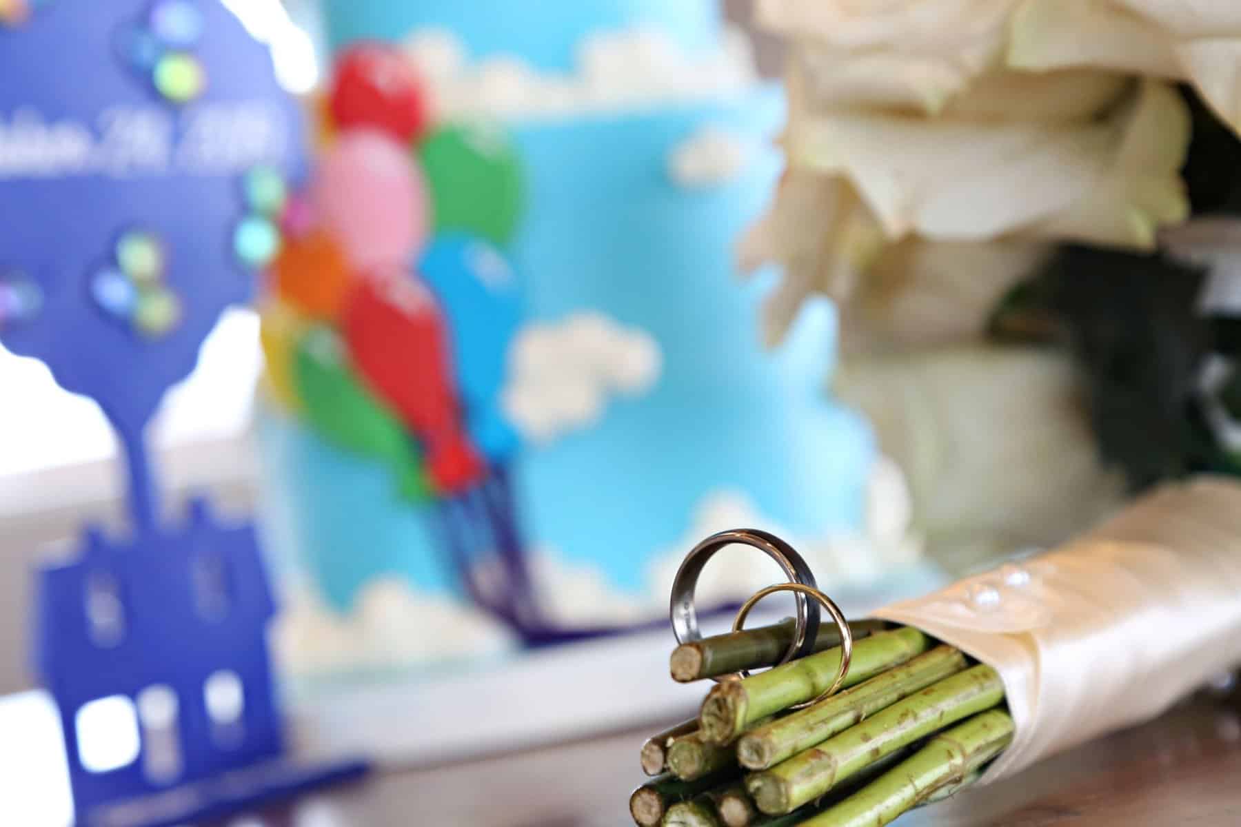 Up Themed Wedding | The Paddlefish Wedding of Lucy and Richard - Just ...