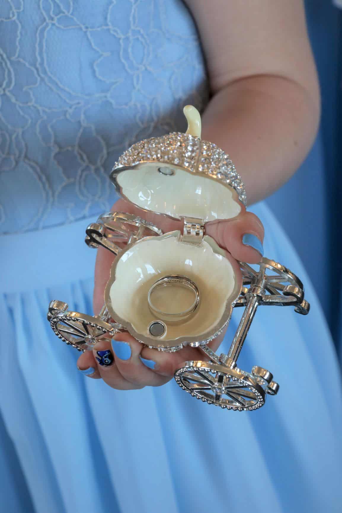 Cinderella Wedding Theme | Danielle and Steven at Paddlefish Disney ...