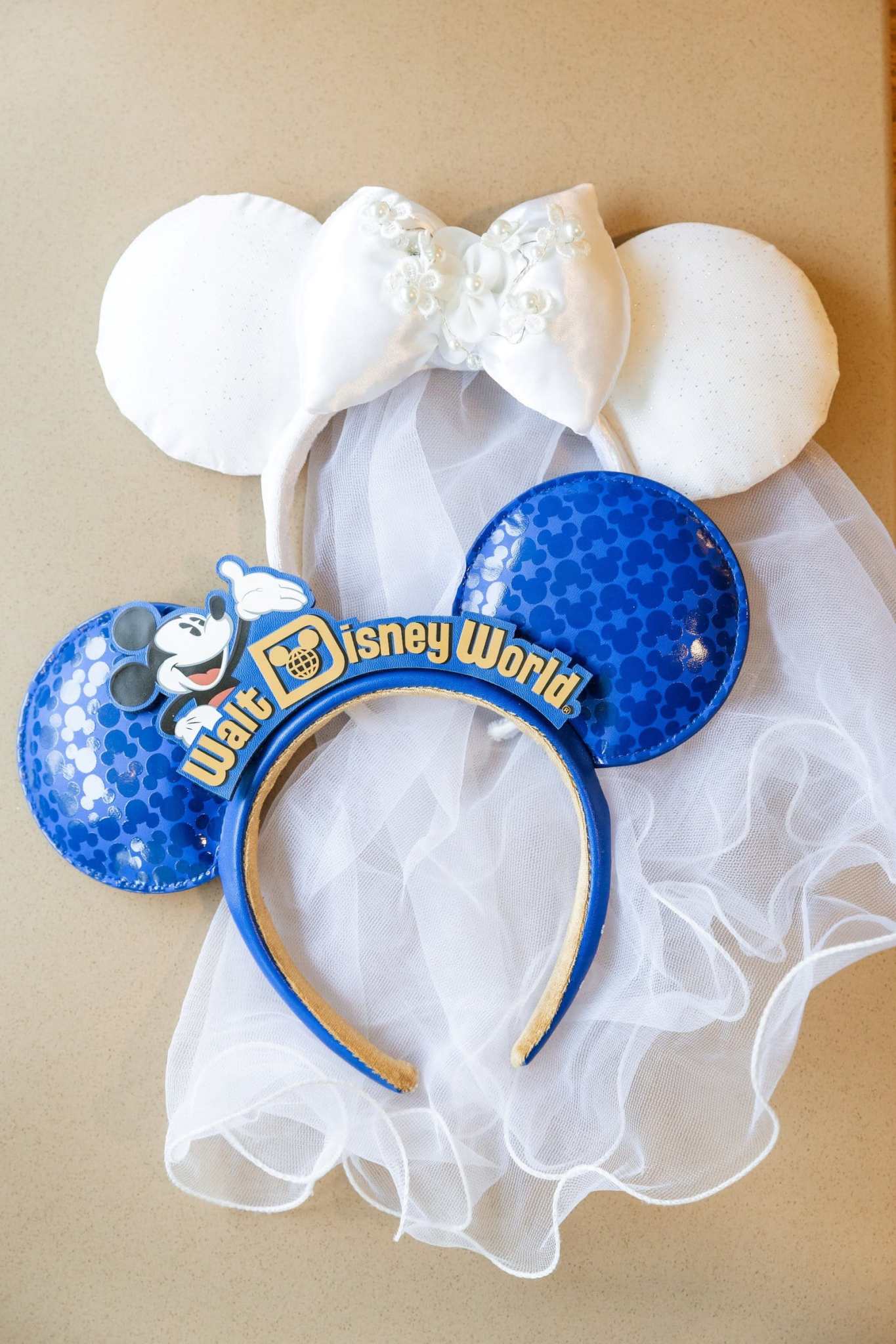 Disney Destination Wedding | Charlotte and Michael at the WDW Swan and ...