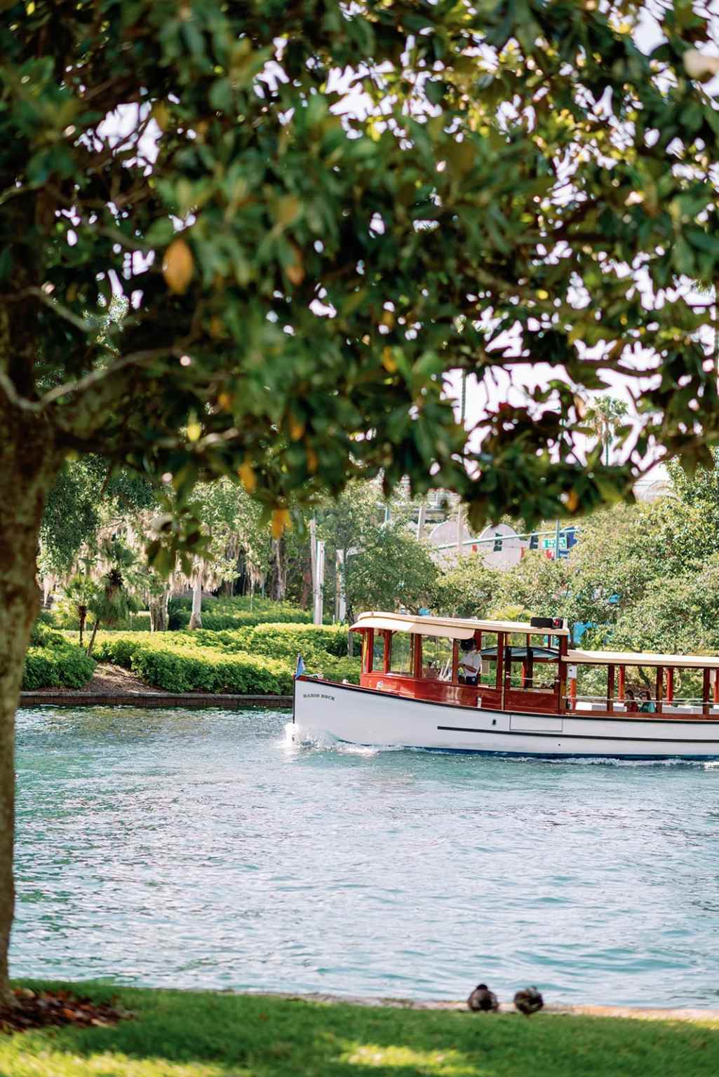 Savannah and Pearce’s Colorful Spring Wedding at the Hard Rock Hotel ...