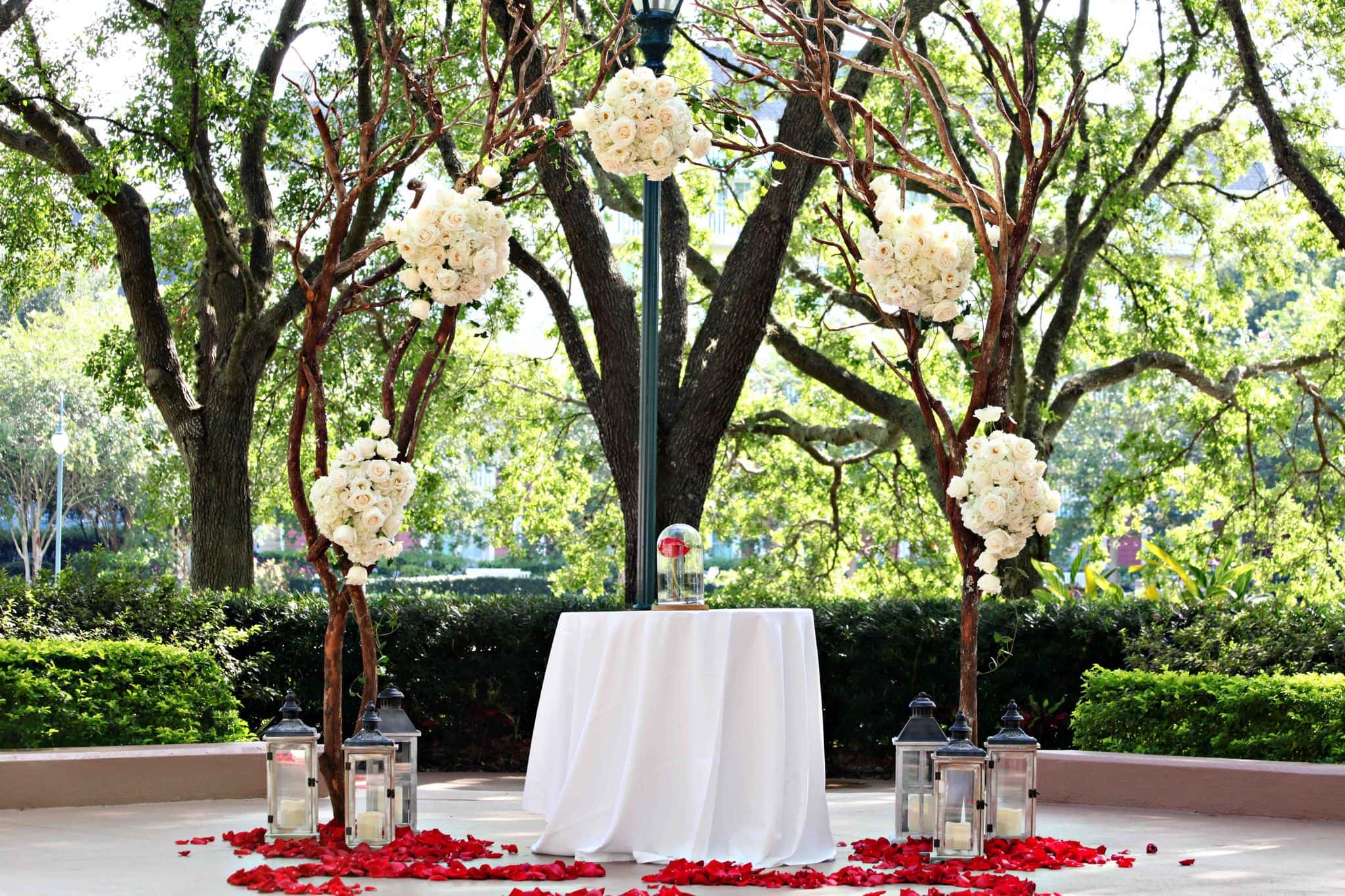 Wedding proposal packages 60 photos - Astyledwedding.com